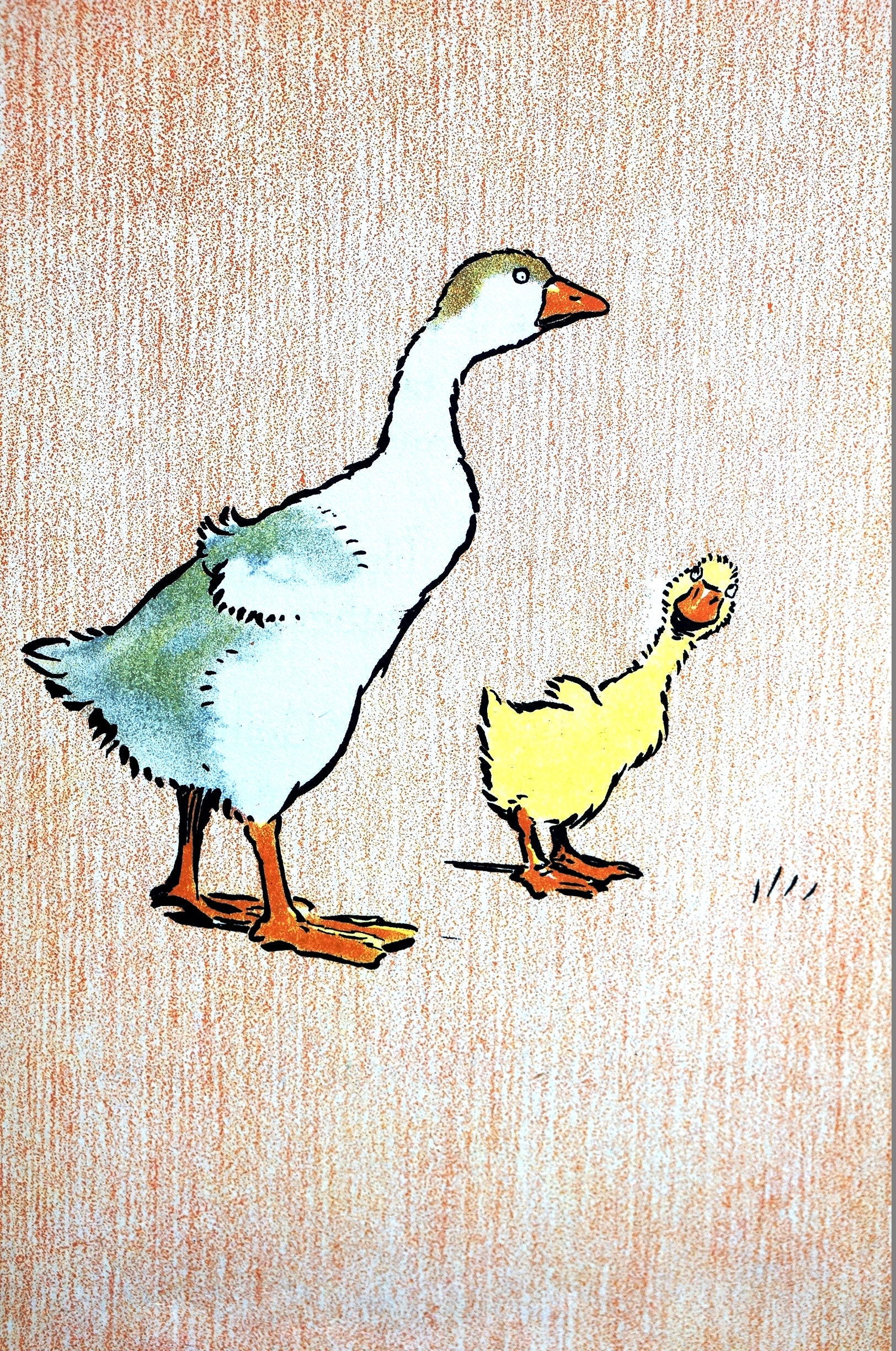 Cecil Aldin Baby DUCK and MOTHER or FATHER 1910 Ducking Birds Animals ...