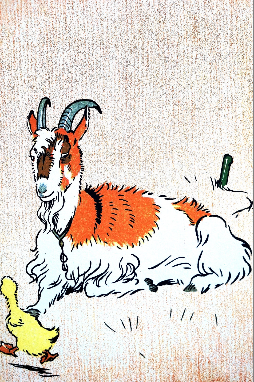 Cecil Aldin Baby DUCKLING and BILLY GOAT Playmates 1910 Ducks Bird ...