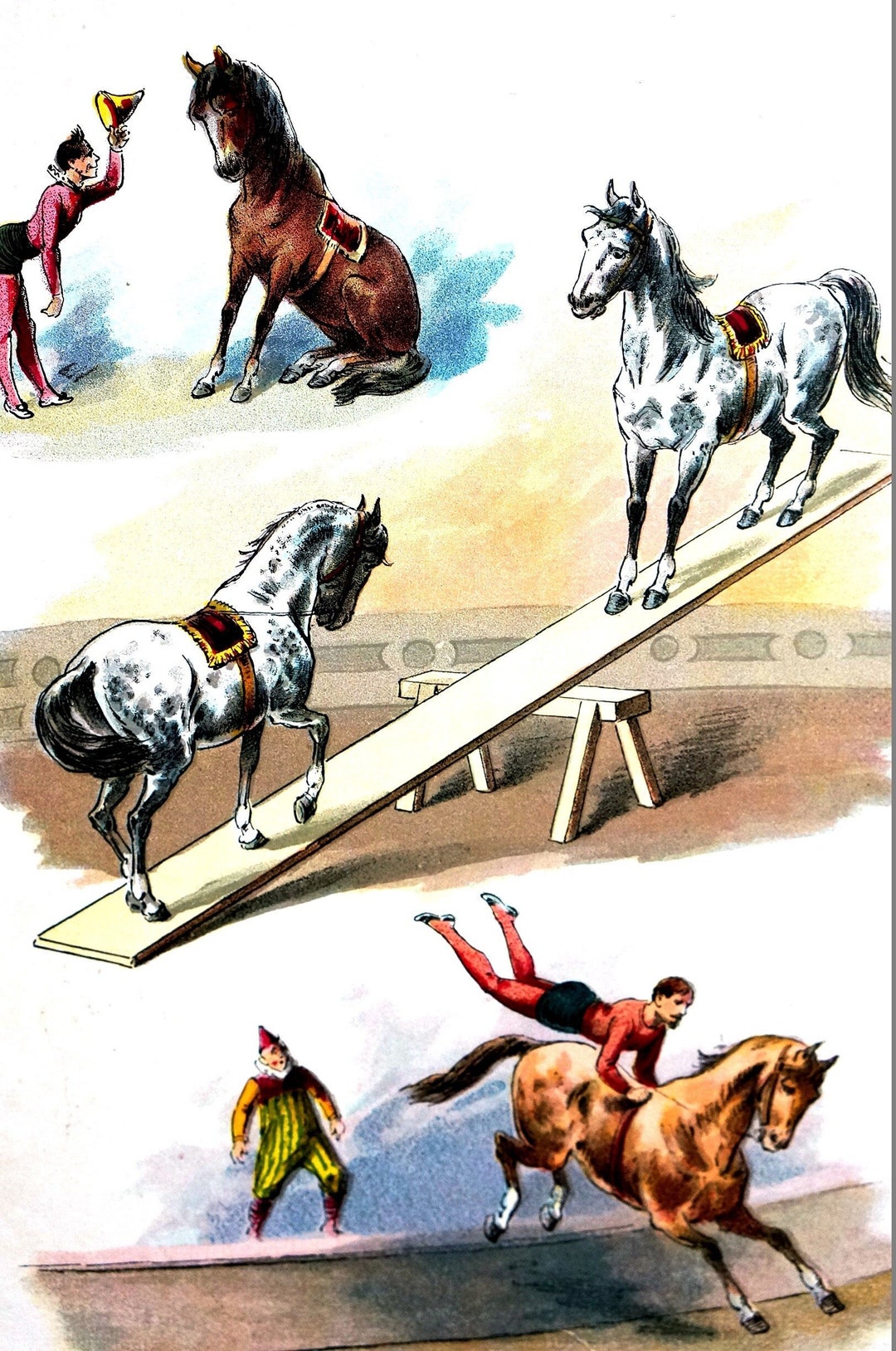 Circus Menagerie - 1890 - CIRCUS HORSE ACT Tricks Seesaw Clowns Fine ...