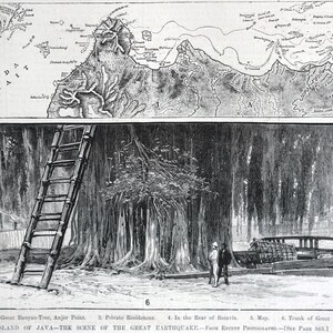 Java Island Indonesia MAP - 1883 ANJER POINT Batavia Banyan Tree ...