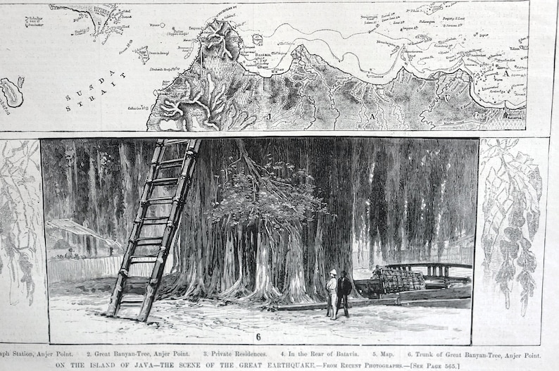 Java Island Indonesia MAP 1883 ANJER POINT Batavia Banyan - Etsy