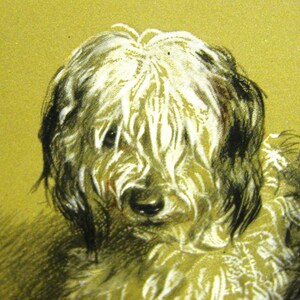 Lucy Dawson Print 1946 Good Friends - OLD ENGLISH SHEEPDOG Sheep Dog ...