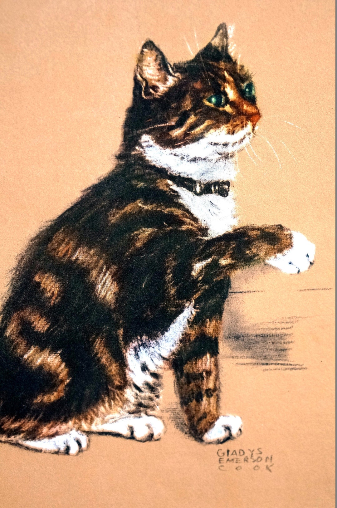 Begging Pet Cat Portrait 1941 CAT W PAW UP Wants Attention Veterinarian ...