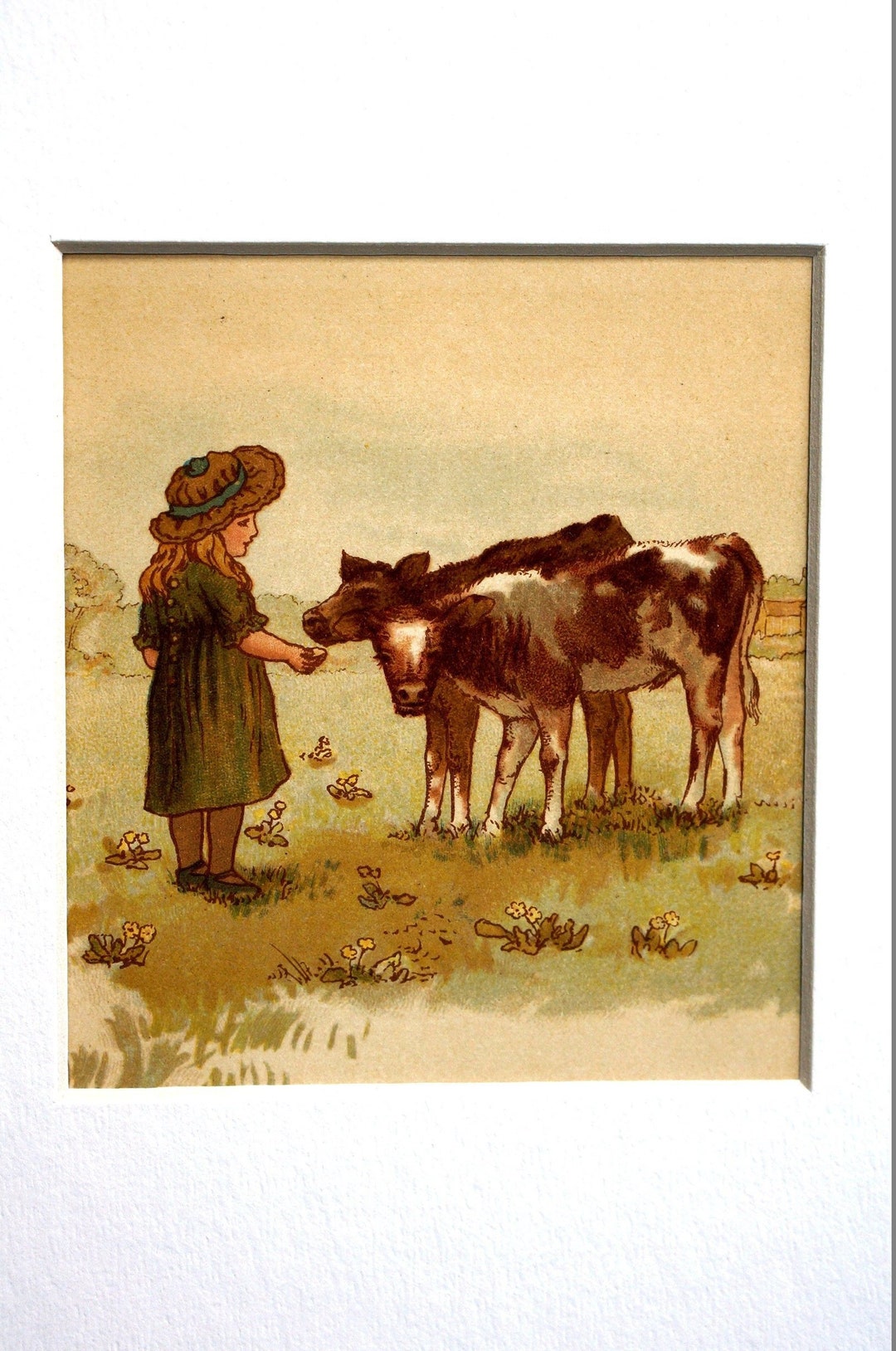 Victorian FARM GIRL Sweet Little Child Feeding COWS 1890 Professionally ...