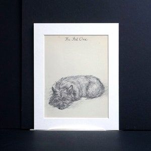 Cairn Terrier Matted Dog Art Print 1937 THE FAT ONE Vintage ...