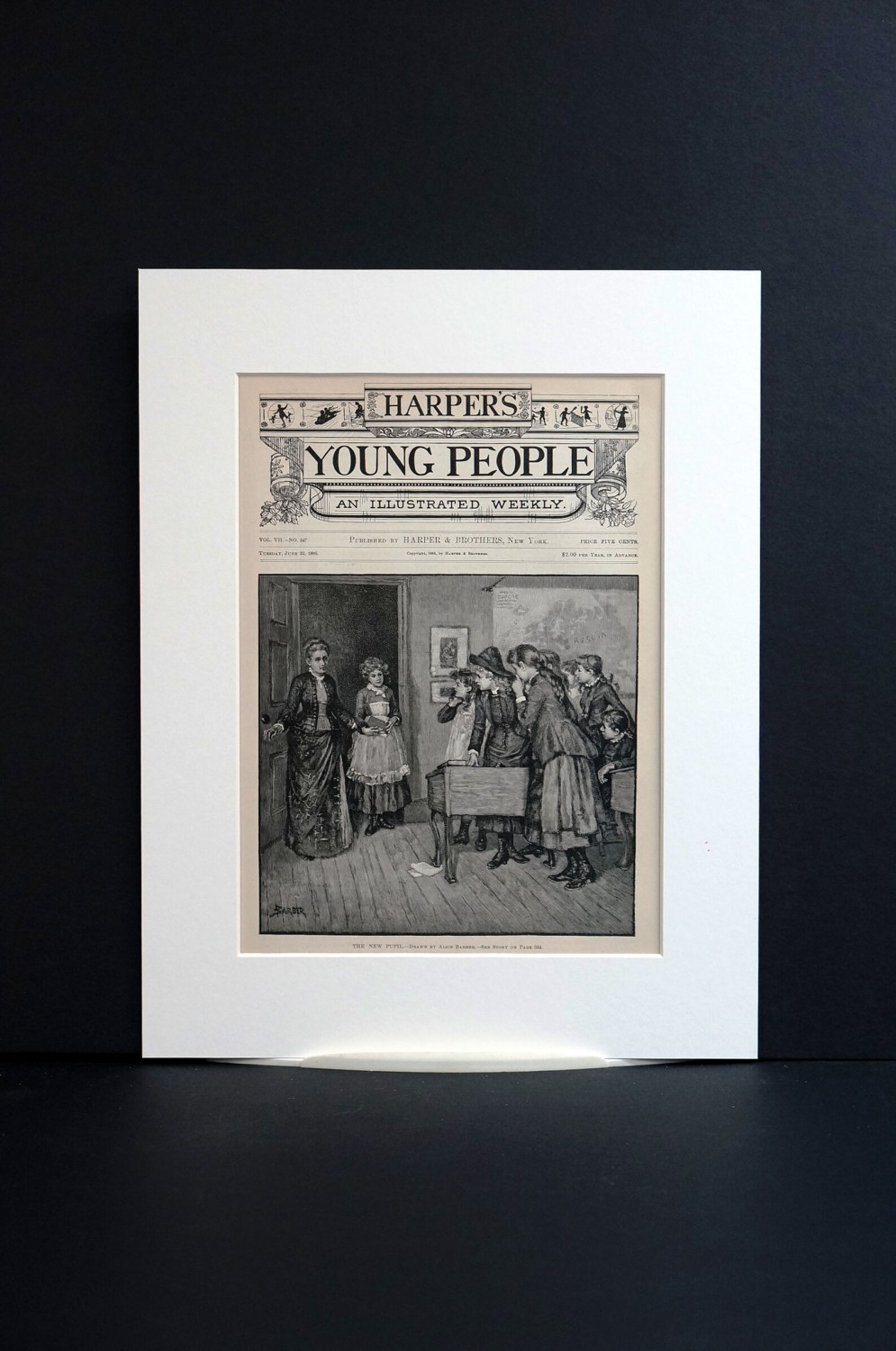 Alice Barber 1886 NEW PUPIL STUDENT Old Victorian School House | Etsy