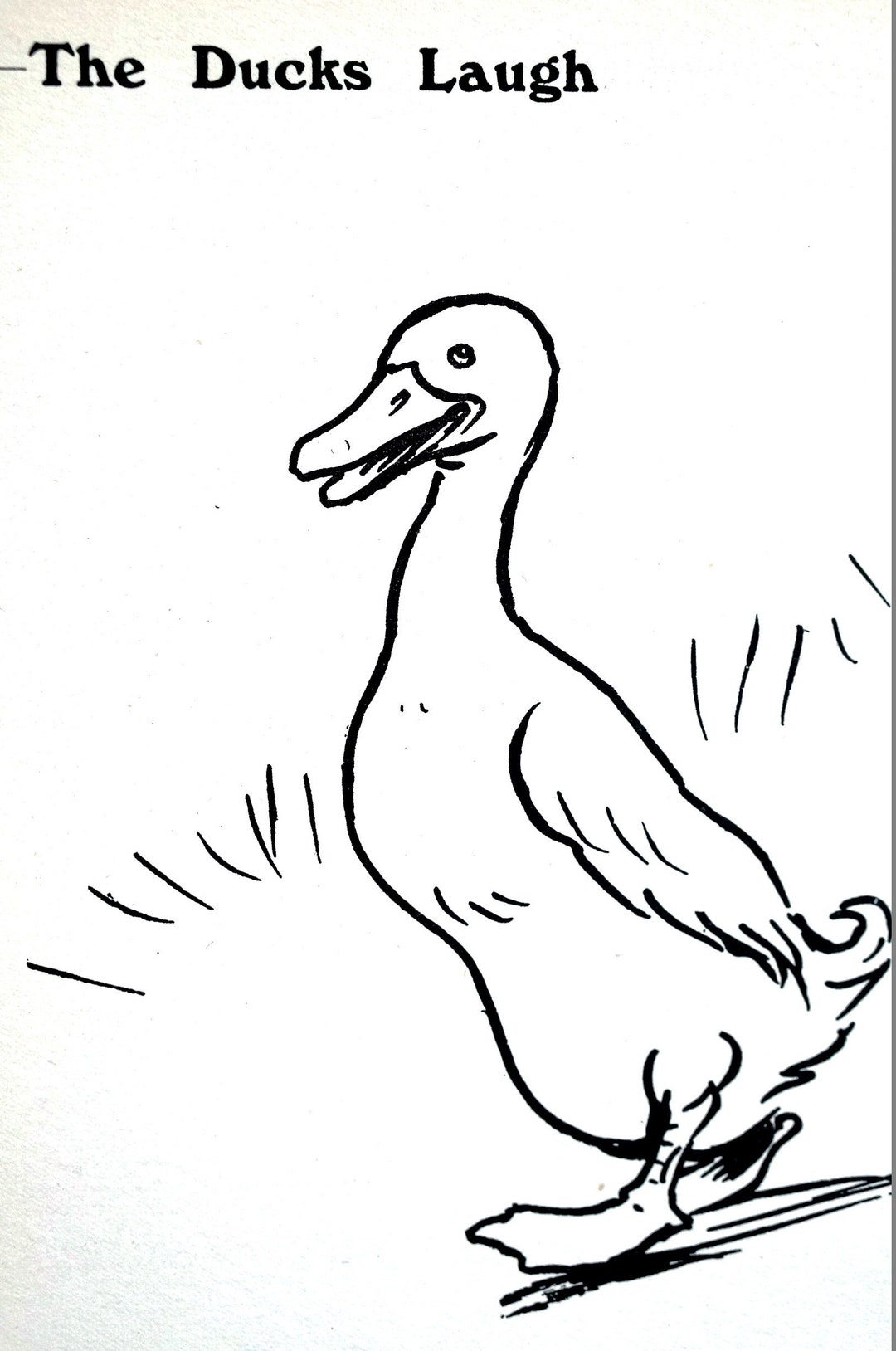 Duck Duckling LAUGHS Cecil Aldin 1910 Farm Yard Animals Professionally ...