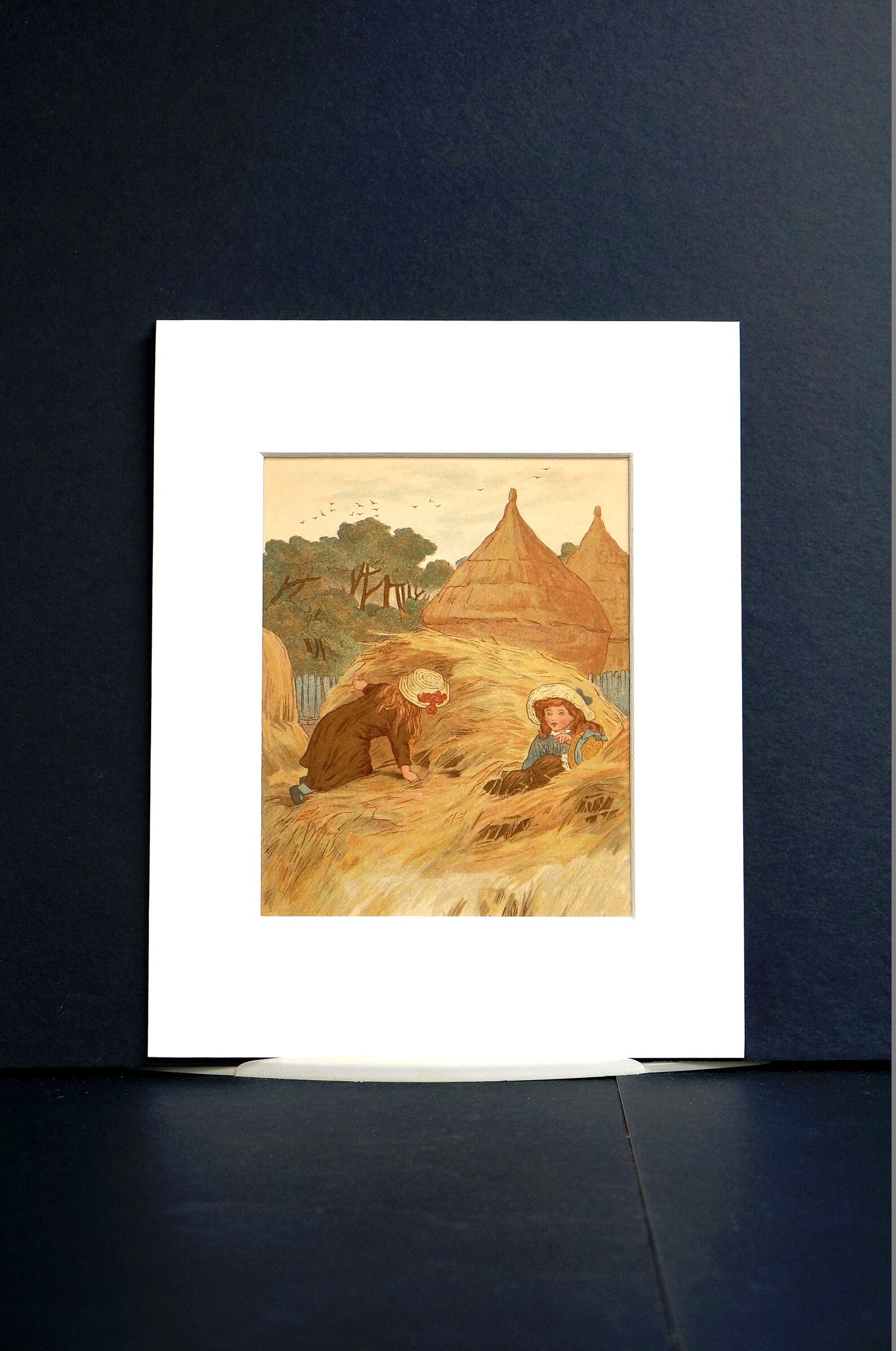 Two Victorian FARM GIRLS Playing in HAYSTACK Hay Stack - 1890 ...