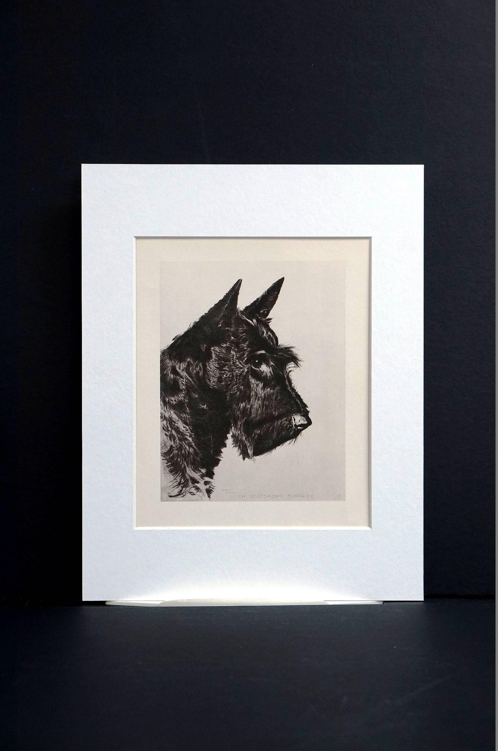Morgan Dennis SCOTTISH TERRIER PROFILE Portrait Scotty 1946 | Etsy
