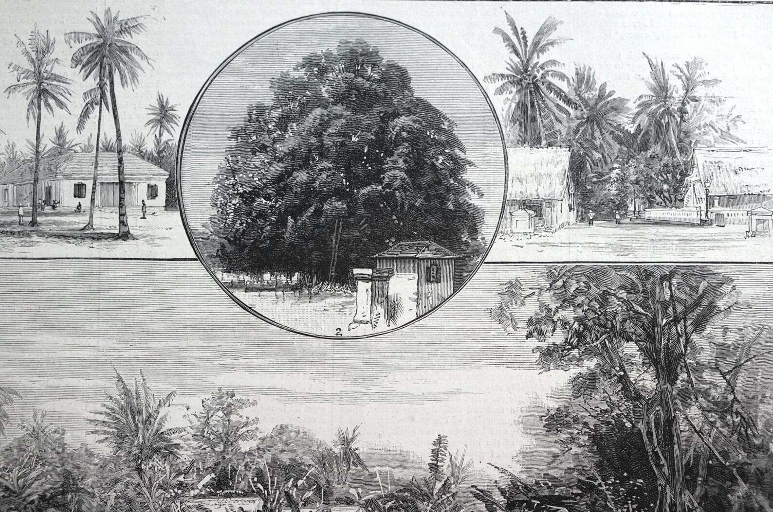 Java Island Indonesia MAP 1883 ANJER POINT Batavia Banyan | Etsy