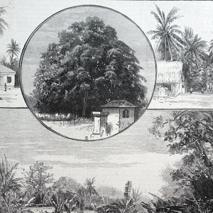 Java Island Indonesia MAP - 1883 ANJER POINT Batavia Banyan Tree ...