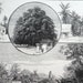 Java Island Indonesia MAP 1883 ANJER POINT Batavia Banyan Tree ...