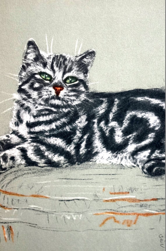 Black and White STRIPED CAT 1941 Kitten POSING Portrait | Etsy