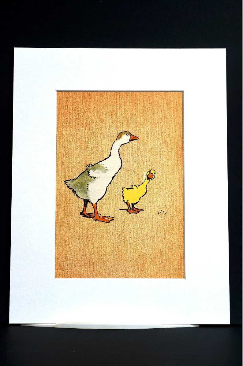 Cecil Aldin Baby DUCK and MOTHER or FATHER 1910 Ducking Birds Animals ...