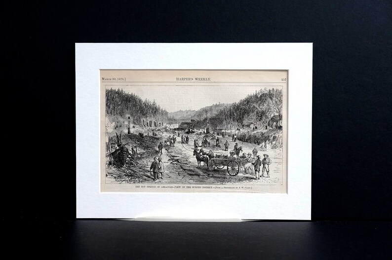 Hot Springs of Arkansas 1878 BURNED DISTRICT FIRE Burnt Trees ...