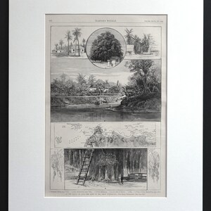 Java Island Indonesia MAP - 1883 ANJER POINT Batavia Banyan Tree ...