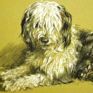 Lucy Dawson Print 1946 Good Friends - OLD ENGLISH SHEEPDOG Sheep Dog ...