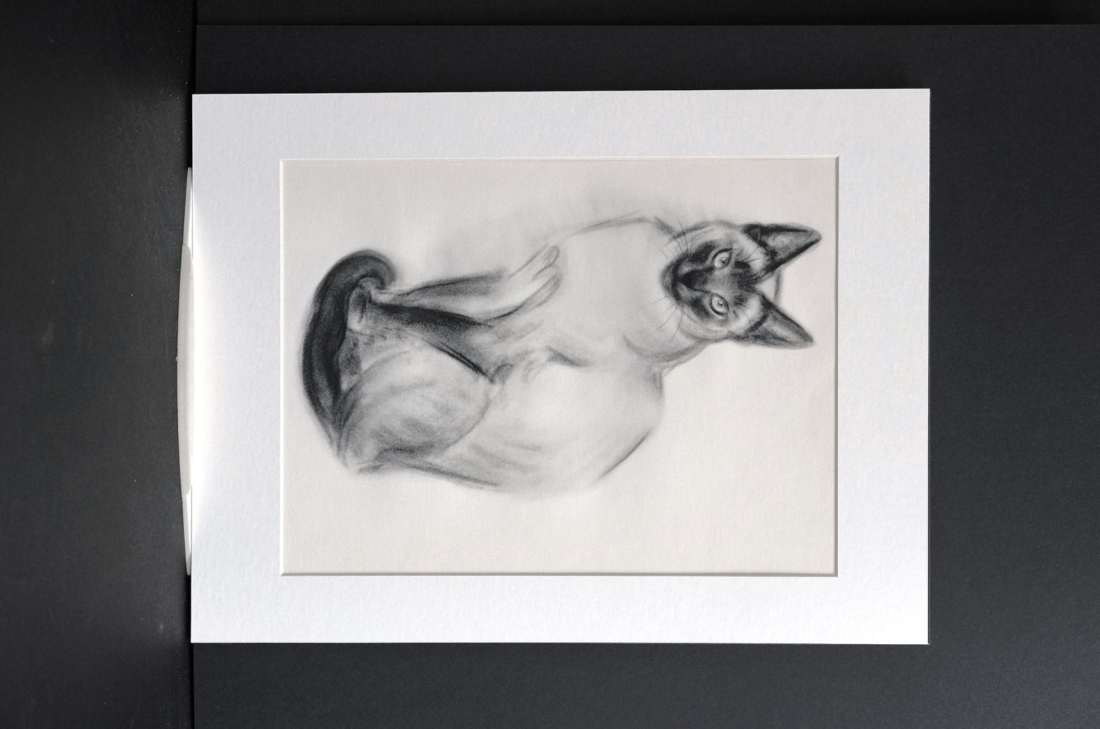 Clare Turley Newberry - 1956 - BLUE POINT SIAMESE Female Cat Big ...