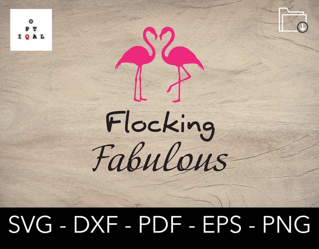 Flocking Fabulous Svg, Diva Svg, Flamingo Svg, Pink Flamingo SVG ...