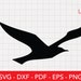 Sea Gull Svg, Seagull Svg, Beach Svg, Ocean Svg, Brid Svg, Cricut ...