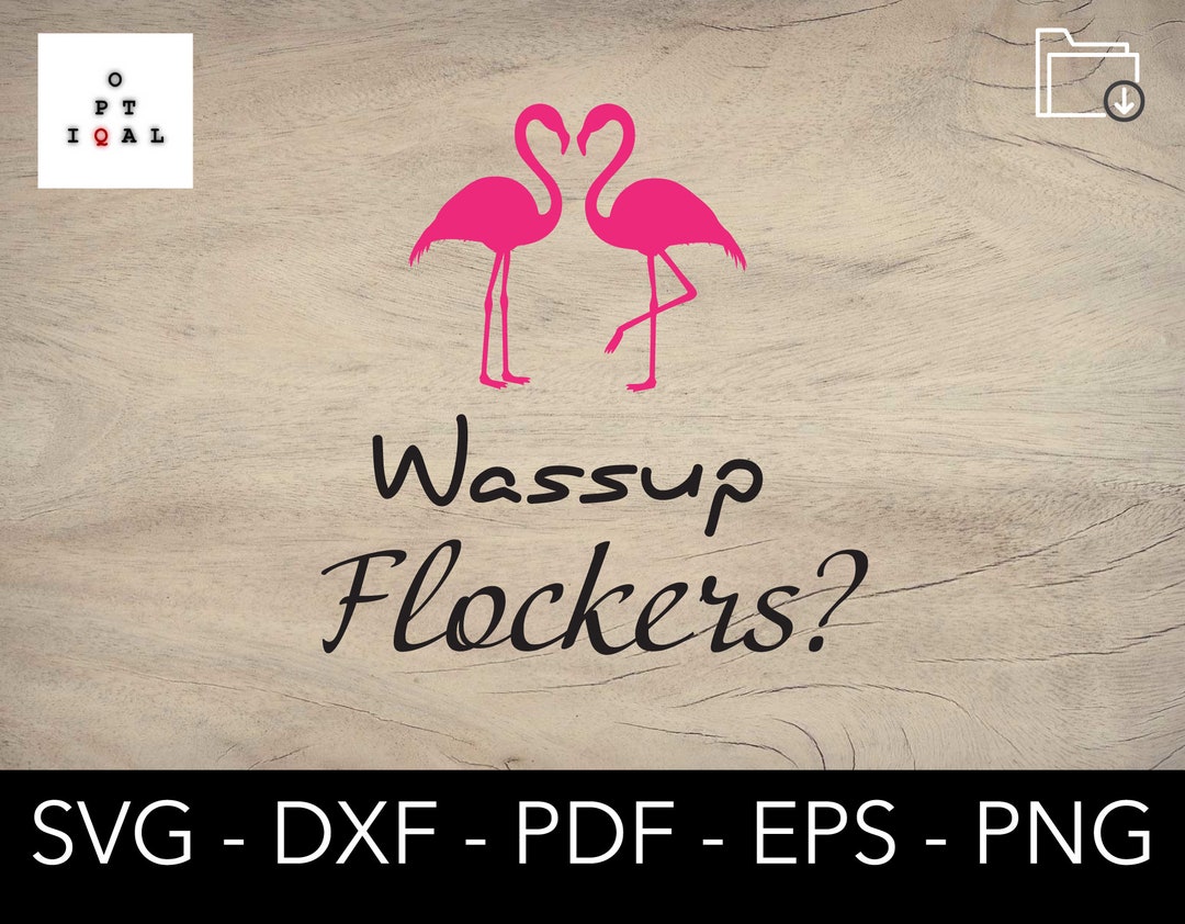Wassup Flockers Svg, Diva Svg, Flamingo Svg, Pink Flamingo SVG ...