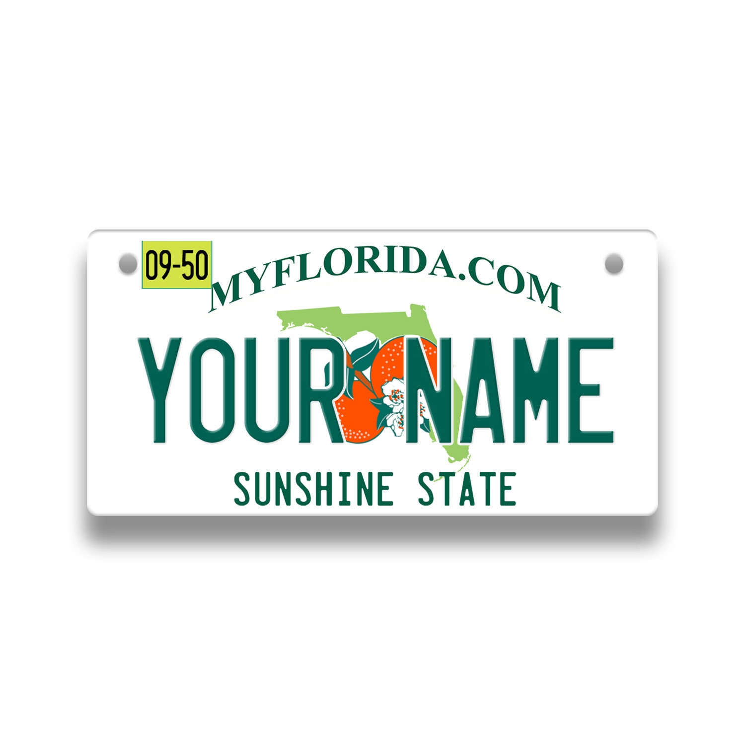 Custom Motorcycle License Plate Florida | Reviewmotors.co