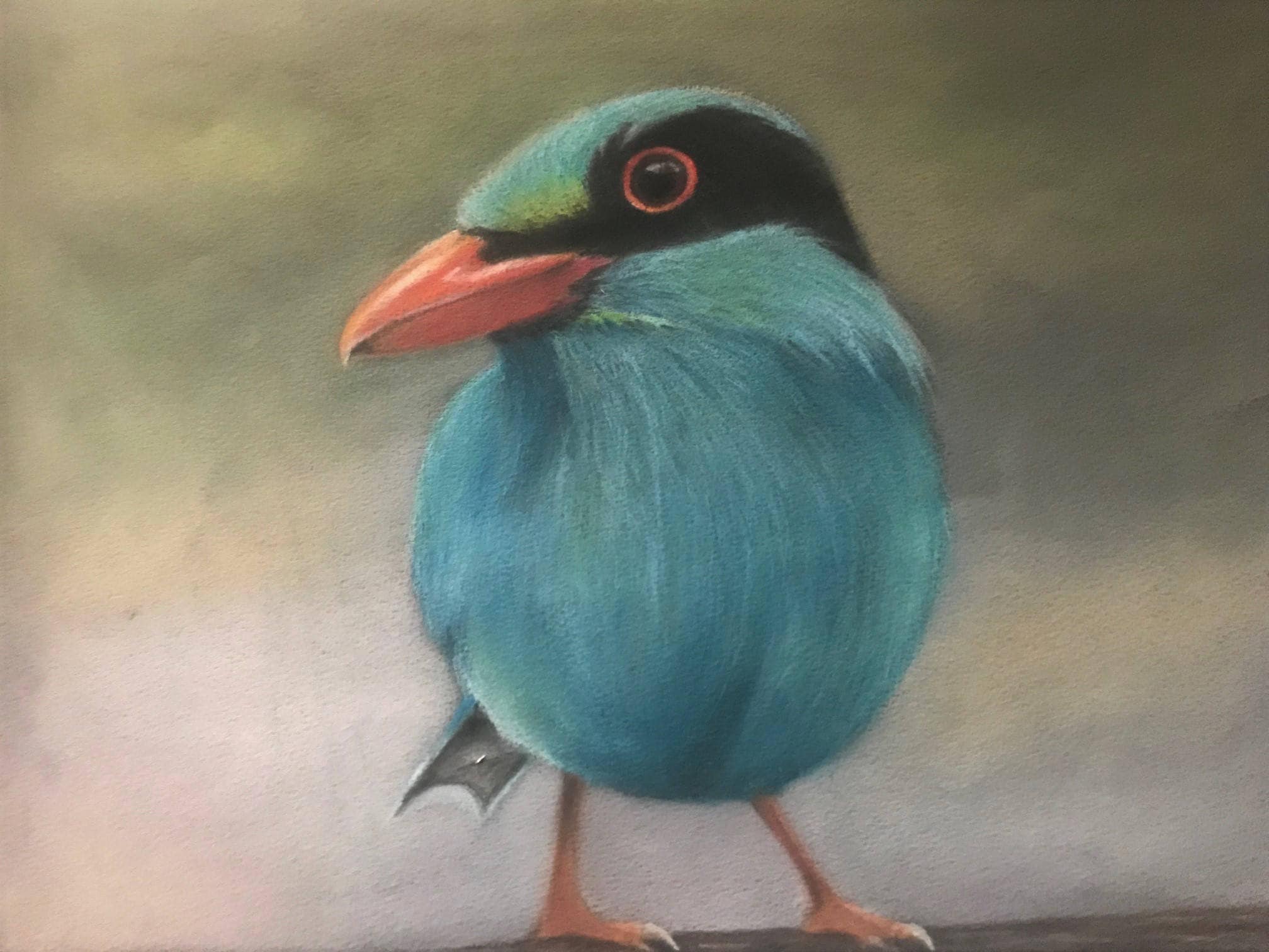 Chalk Pastel Drawings Animals