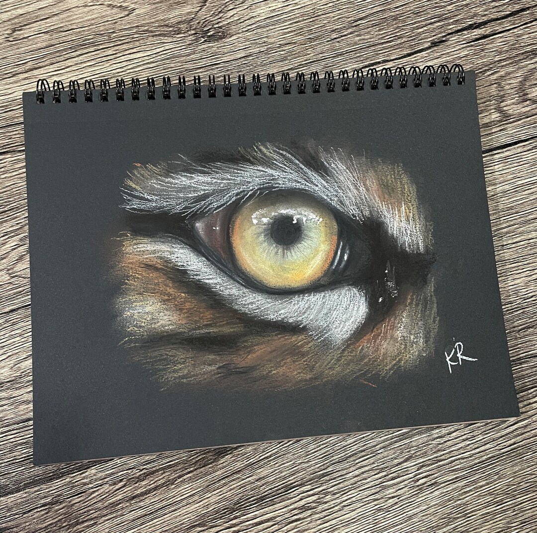 Original Soft Pastel Tiger Eye Drawing - Etsy
