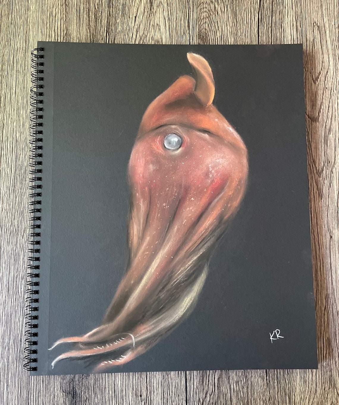 11 Inch by 14 Inch Vampire Squid Rare Deep Sea Animal Original - Etsy