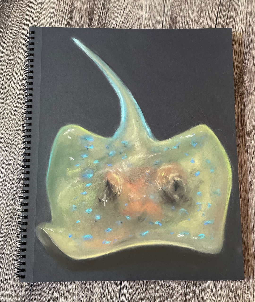 11 Inch by 14 Inch Blue Spotted Stingray Original Soft Pastel Drawing ...
