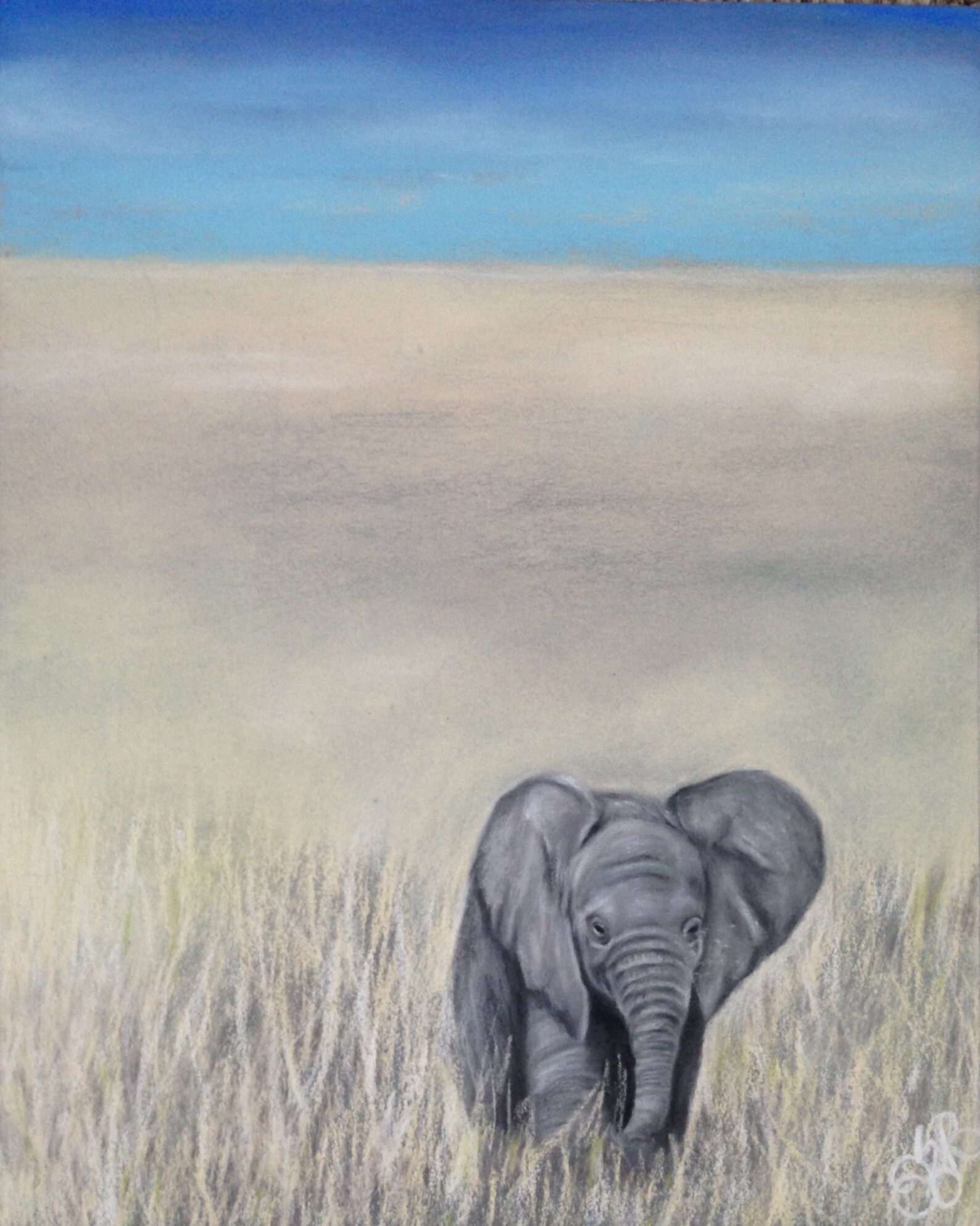 8 X 10 Baby Elephant Soft Pastel Drawing on Pastel Mat - Etsy