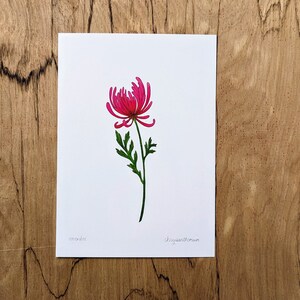 November Birth Month Flower, Chrysanthemum Floral Art Print, 5x7 Glossy ...