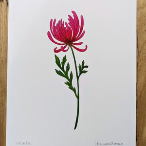 November Birth Month Flower, Chrysanthemum Floral Art Print, 5x7 Glossy ...