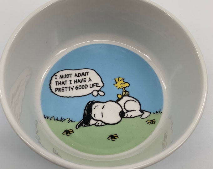 Peanuts - Snoopy and Woodstock Pretty Good Life Small Pet Bowl - Etsy