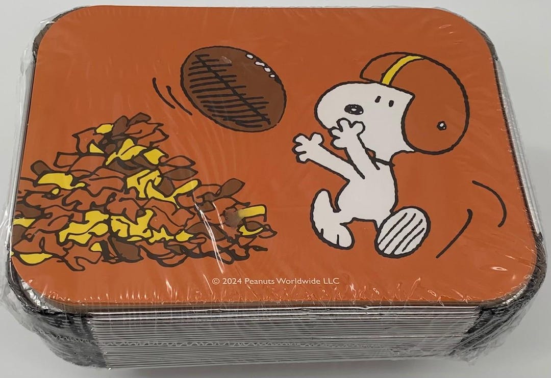 Peanuts - Snoopy Football Season Food Storage Container - Etsy