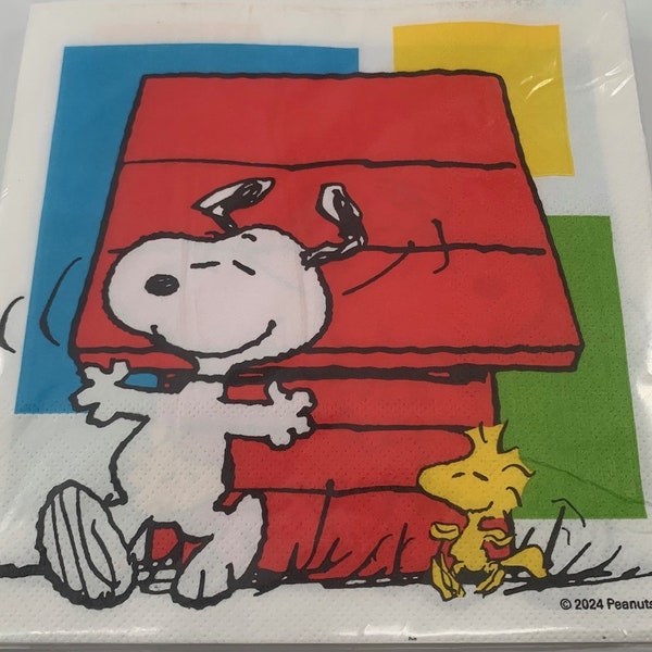 Snoopy Party - Etsy