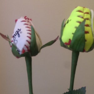 Personalized Sports Long Stem Roses - Etsy