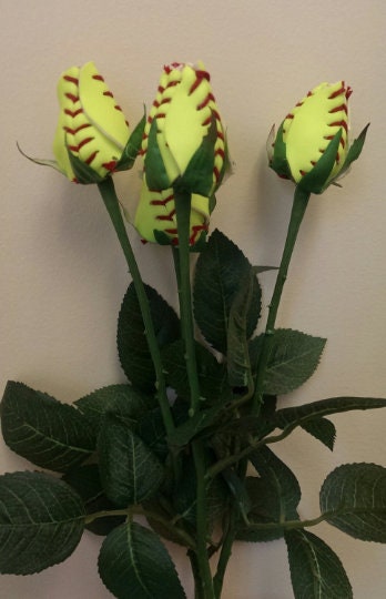 Personalized Sports Long Stem Roses - Etsy