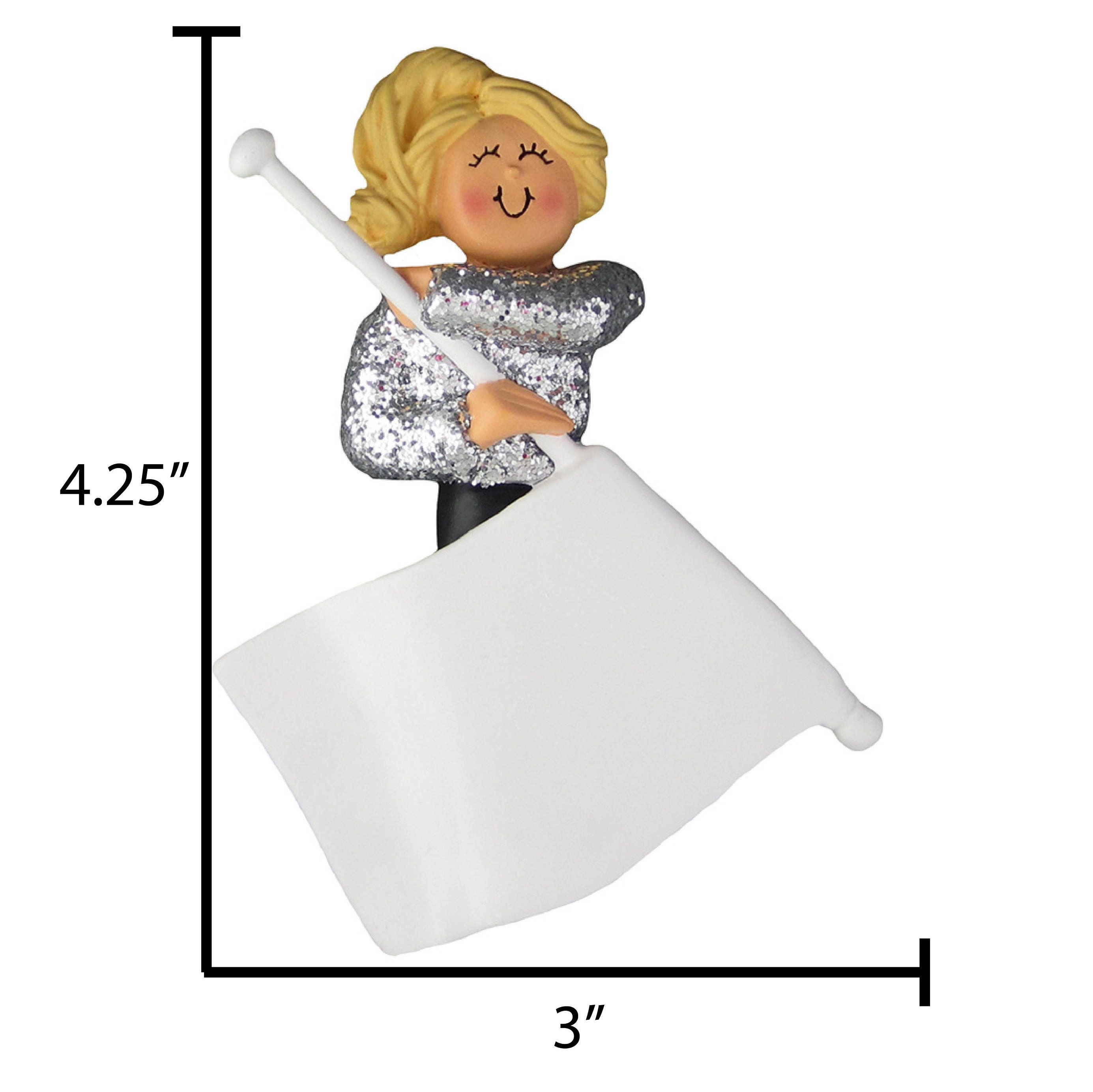 Cartoon Color Guard Flag