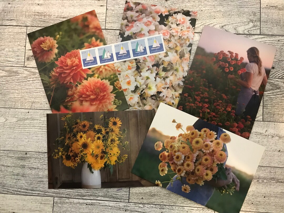 Set of 5 Postcard and Postage Stamp Bundle Kit - Etsy