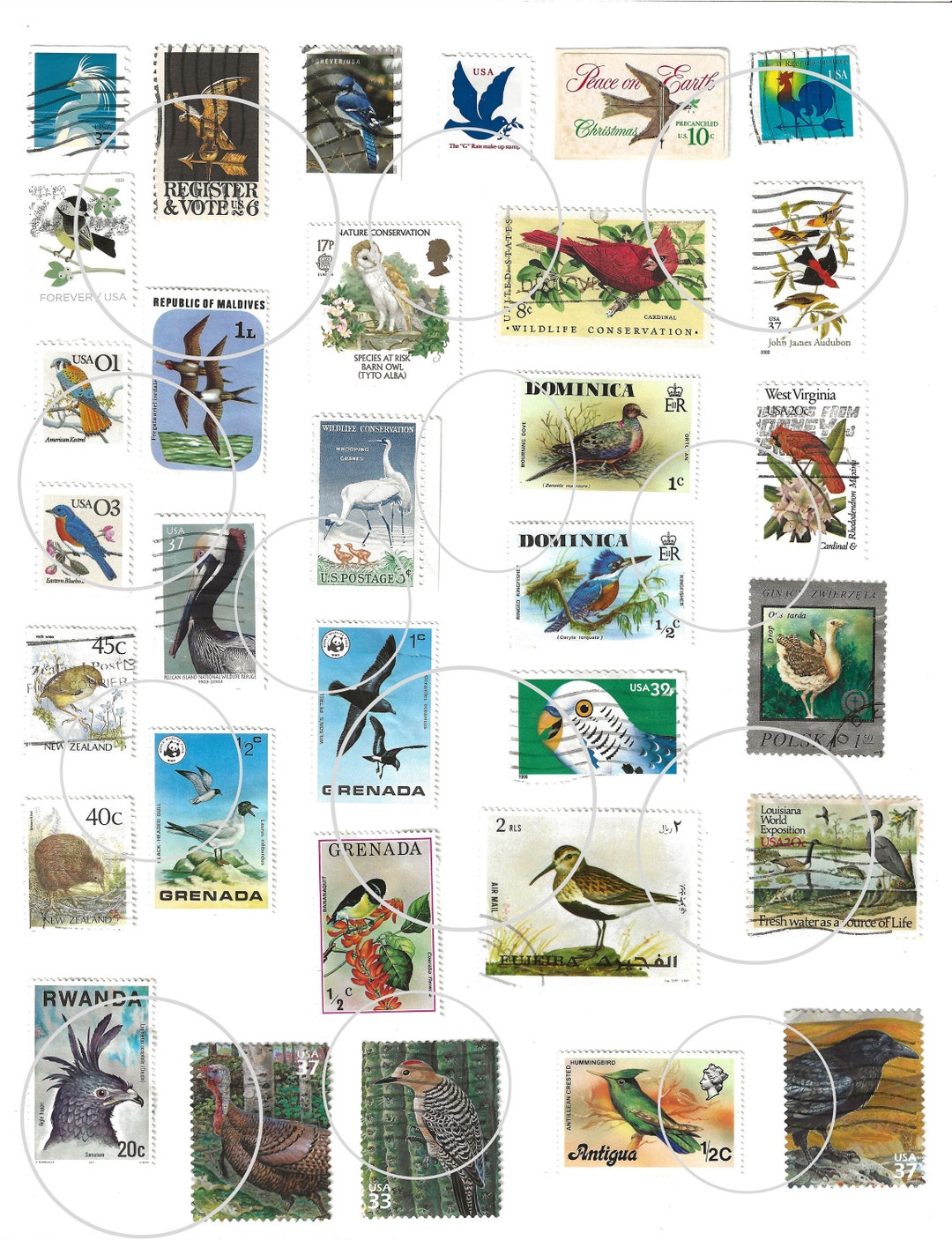 Vintage Bird Stamps - Etsy