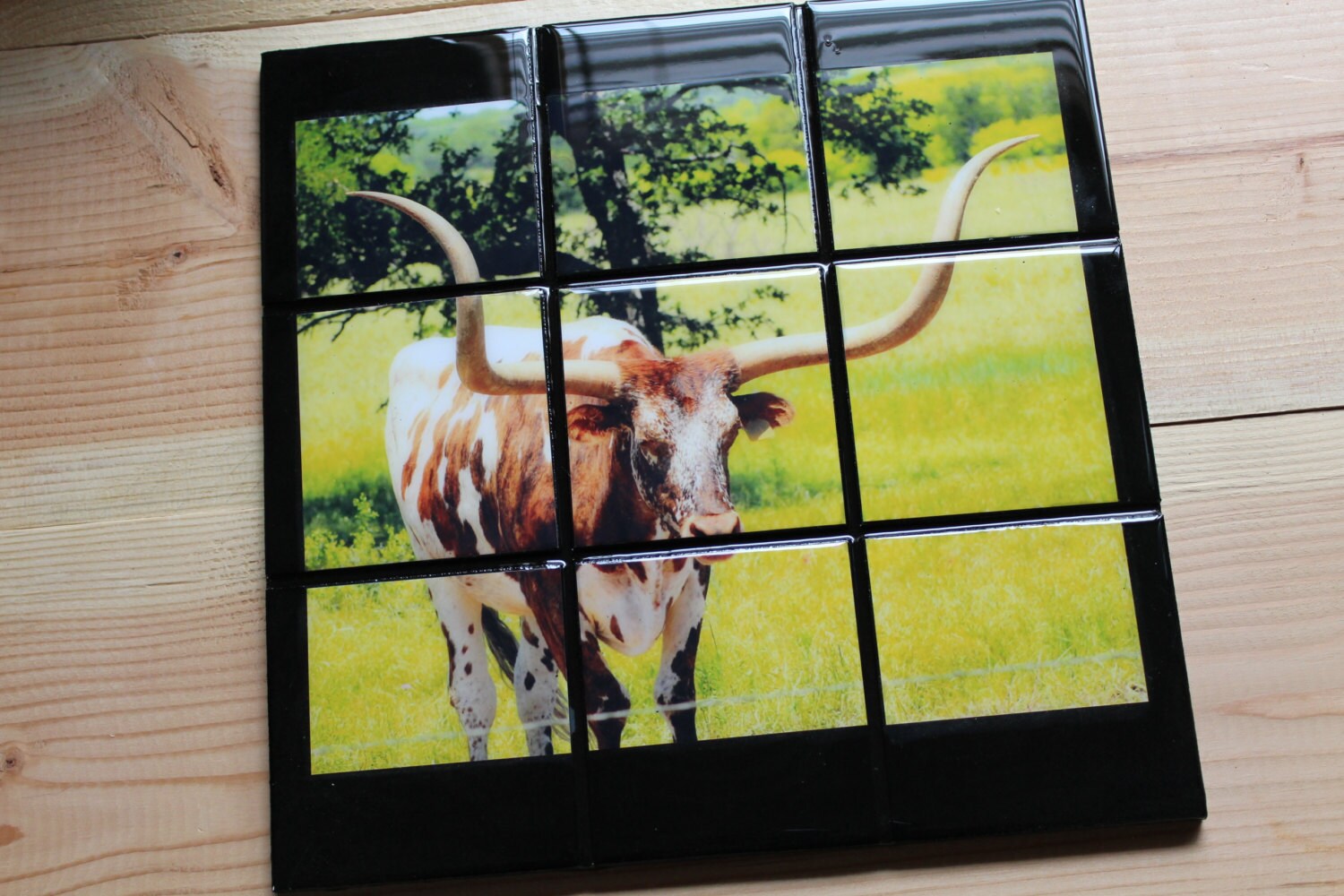Texas Longhorn Photo Outdoor Photography Wall Decor | Etsy