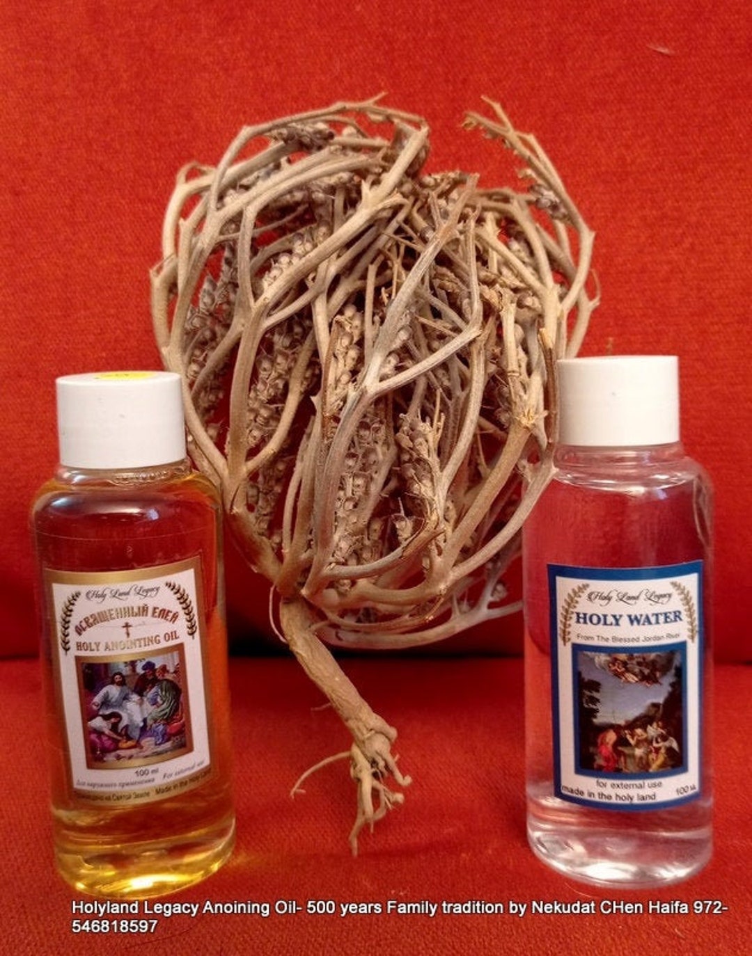 Rose of Jericho Mary’s Rose,judea Desert Dead Sea Real Rose of Jericho ...