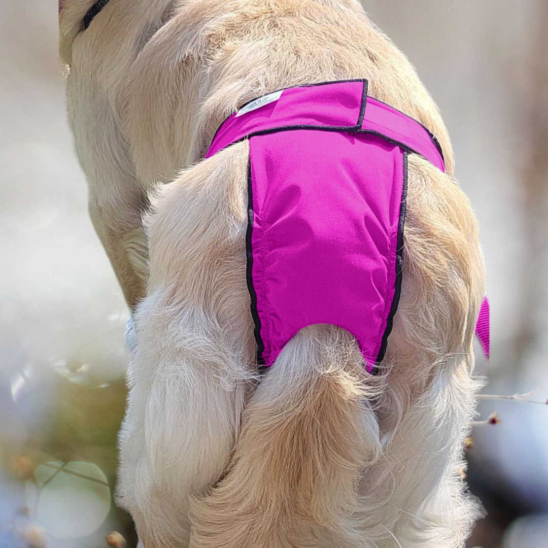 Colour Prints, High-cut Dog Diapers, Dog Britches, Washable Diapers ...