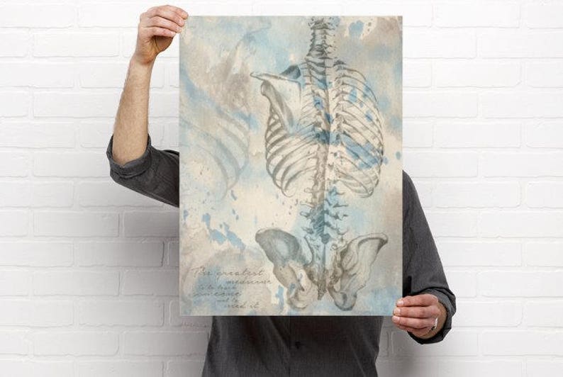 Chiropractic or Physical Therapy Display Wall - Etsy