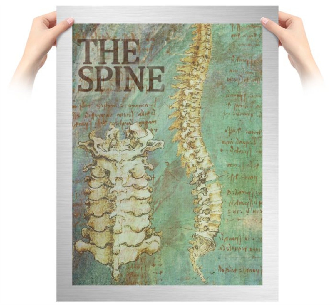 The Spine Chiropractic Anatomy Artwork - Etsy
