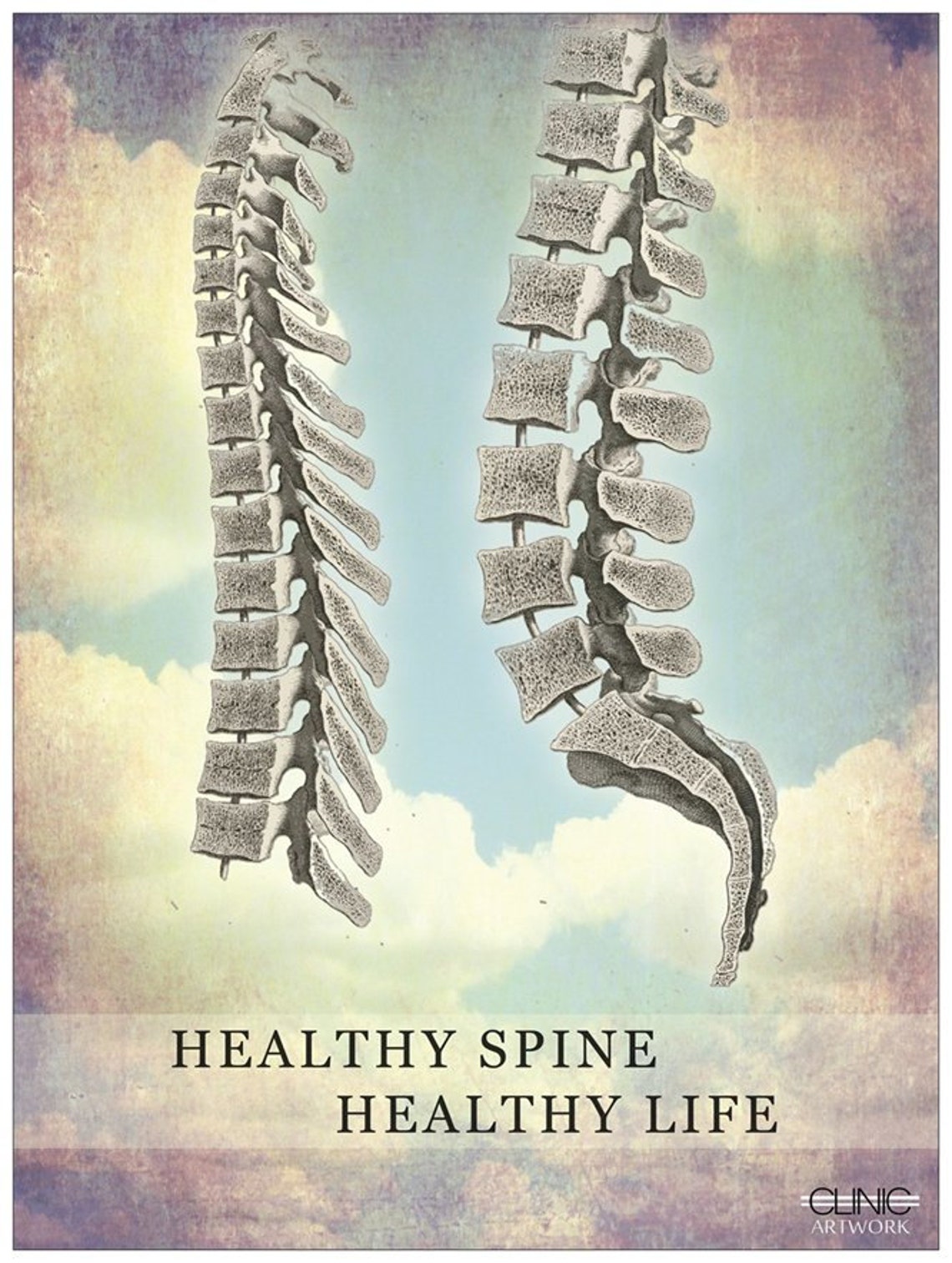 Healthy Spine Healthy Life Chiropractic Anatomy Artwork - Etsy