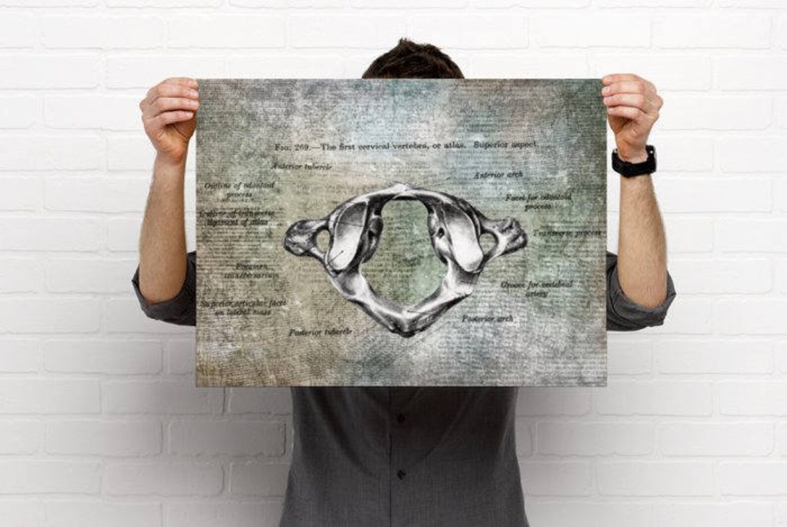 Chiropractic or Physical Therapy Display Wall - Etsy