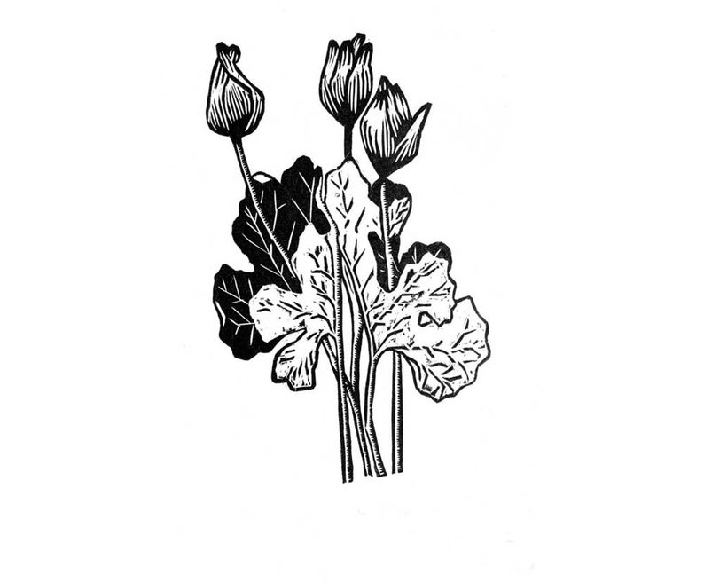 Bloodroot Woodcut Print - Etsy