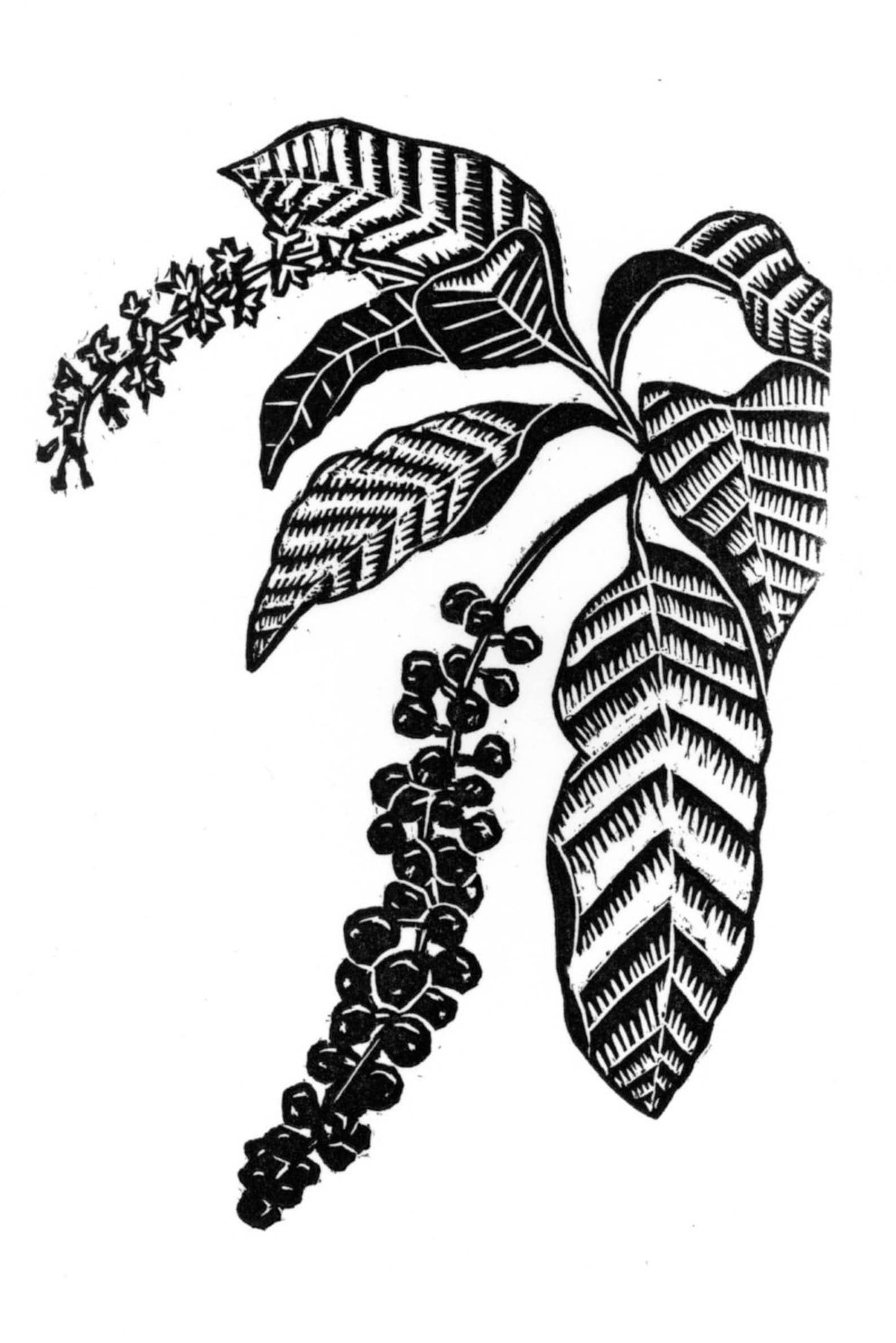 Pokeweed Woodcut Print - Etsy